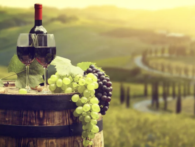 How to Create Your Own Vineyard | Rural Asset Finance